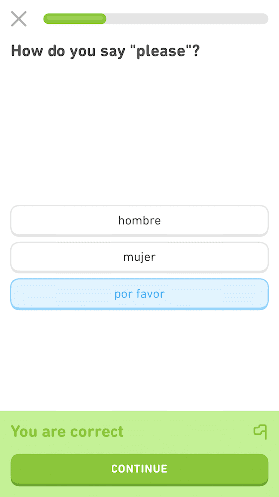 Learning A New Language with an App - Sassy Bluejay